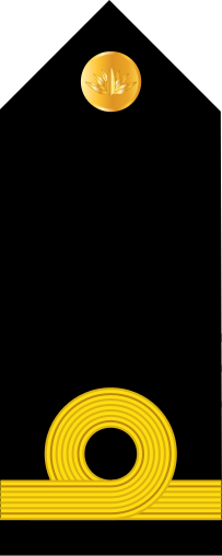 Ranks of BNCC Officers – BNCC Knowledge & Information Center