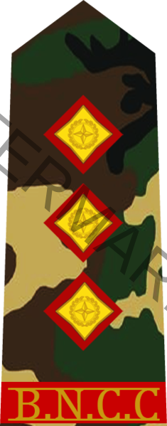 Ranks of BNCC Officers – BNCC Knowledge & Information Center