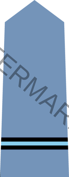 Ranks of BNCC Officers – BNCC Knowledge & Information Center