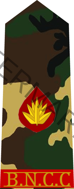 Ranks of BNCC Officers – BNCC Knowledge & Information Center