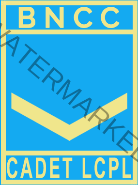 Ranks of BNCC Cadets – BNCC Knowledge & Information Center