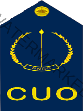 Ranks of BNCC Cadets – BNCC Knowledge & Information Center